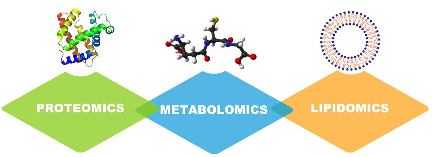 Redox Services - Xoder Technologies